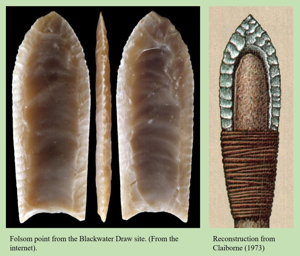 THE PEOPLING OF THE AMERICAS – Reg Porter's Heritage Blog