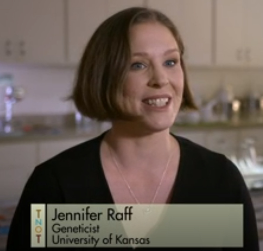 THE PEOPLING OF PRINCE EDWARD ISLAND – Reg Porter's Heritage Blog