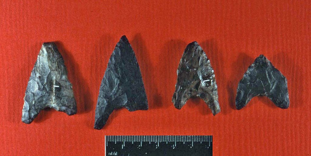 P. E. I. Palaeo Indian Flake Tools and their Materials – Reg Porter's ...