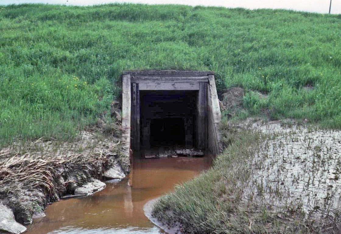 ACADIA AND THE ACADIANS – Reg Porter's Heritage Blog