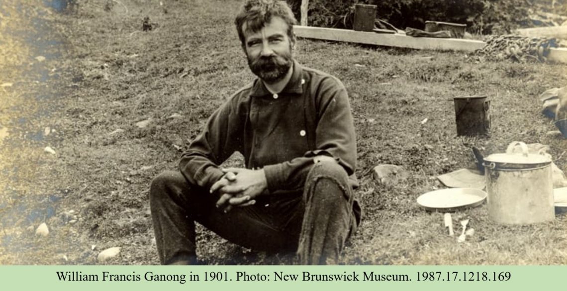 My Time in Acadia – Part 1: the Landscape – Reg Porter's Heritage Blog